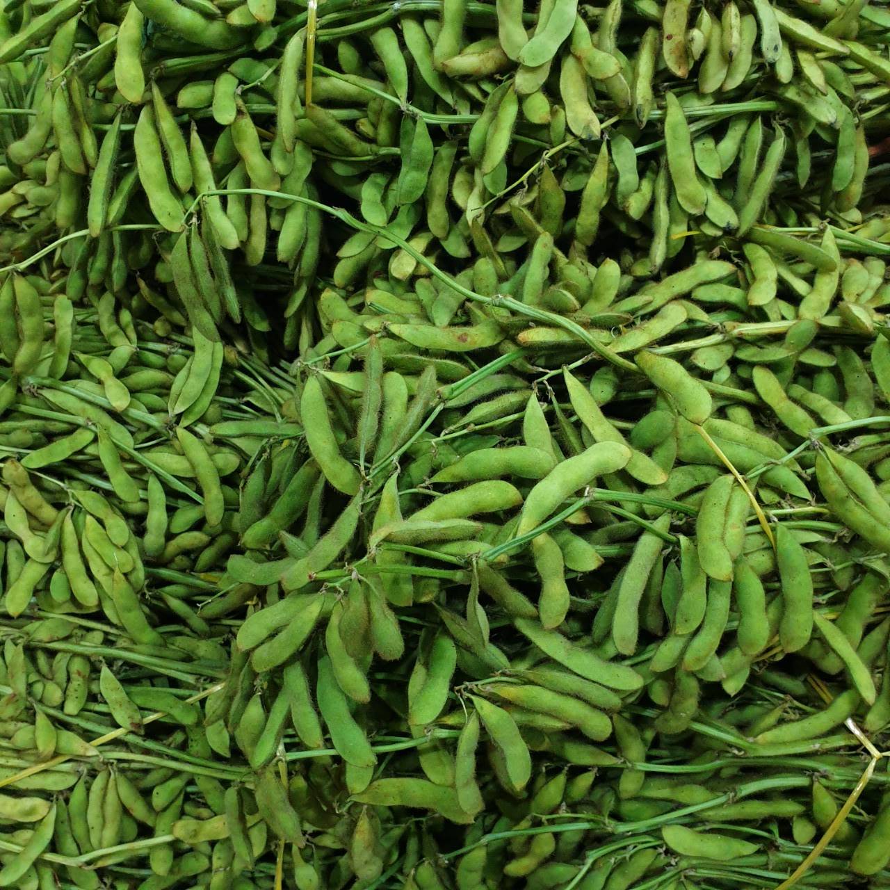 ถั่วแระลูกผสม - Simummuang Market